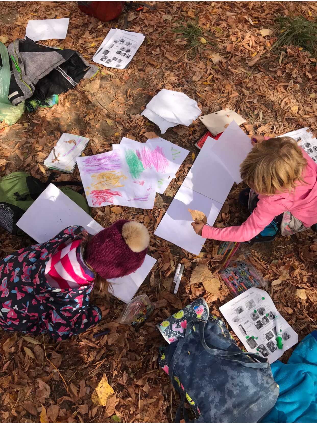 Forest School – Summer Camps – Summer Camps