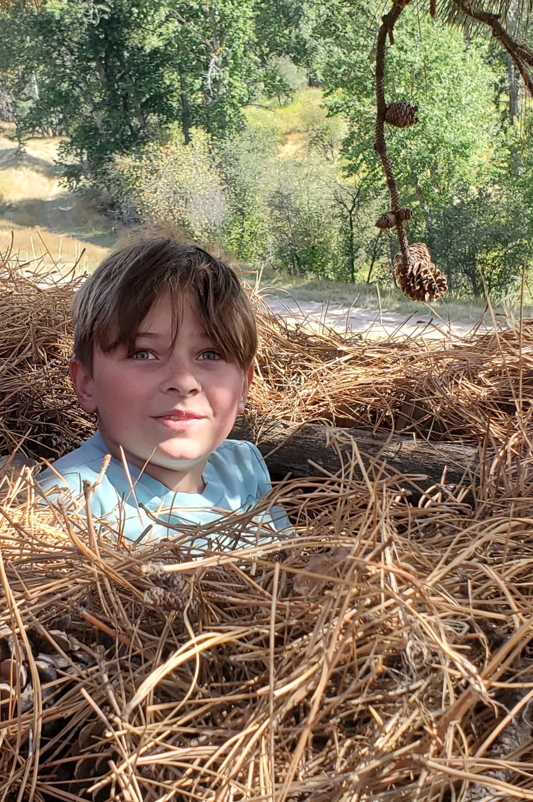 Naturecraft Camps – Summer Camps